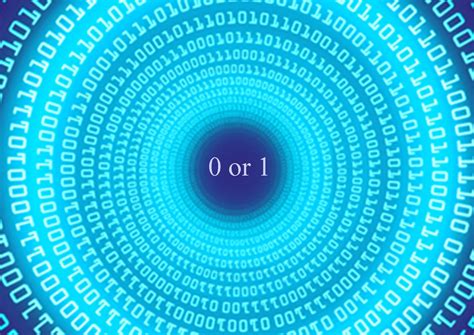 Computer Bits Explained At Frank Hamlin Blog