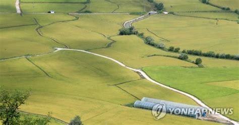 평화지역 경제 활성화 청정 이미지 1차산업 성장이 효과적