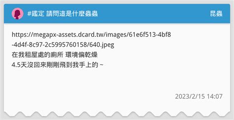 鑑定 請問這是什麼蟲蟲 昆蟲板 Dcard