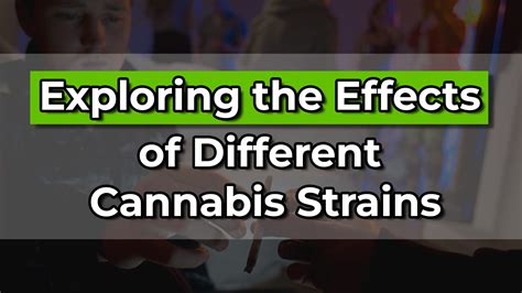 Exploring The Effects Of Different Cannabis Strains Mail Order 420