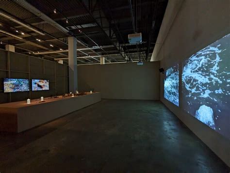 14th Gwangju Biennale