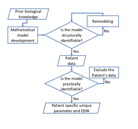 The Flowchart Illustrates The Process Of Modeling Tumor Dynamics And Download Scientific