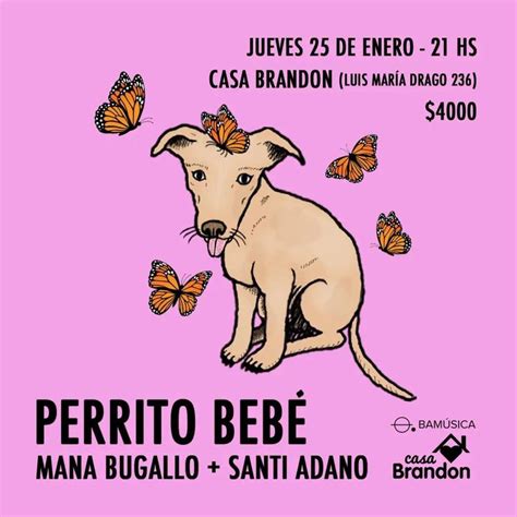 Perrito BebÉ Brandon