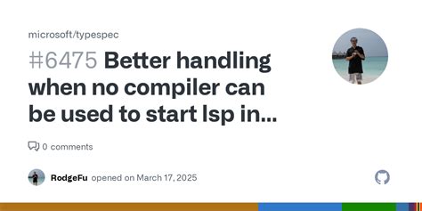 Better Handling When No Compiler Can Be Used To Start Lsp In Vscode