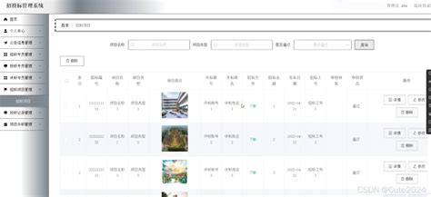 Springboot招投标管理系统oyg47（程序源码数据库调试部署开发环境）招投标主体云库原型设计 Csdn博客
