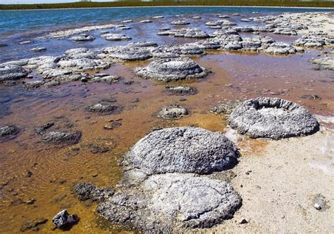Scientists Discover Evidence Of 33 Billion Year Old Life On Earth