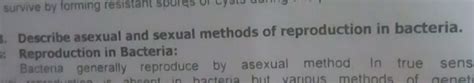 Describe Asexual And Sexual Methods Of Reproduction In Bacteria Reproduc