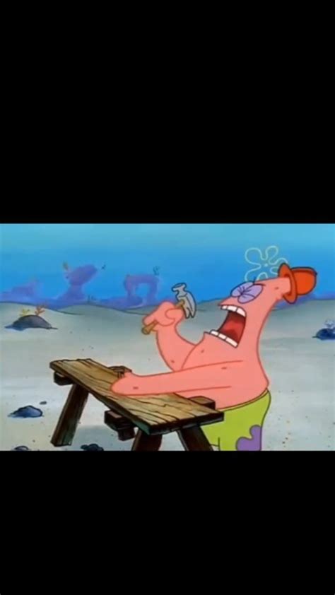 Sponge Fan • Instagram Photos And Videos