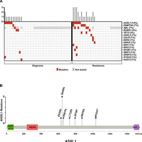 Impact Of Asxl1 Mutations On Survival In Patients With Cp Cml A Download Scientific Diagram