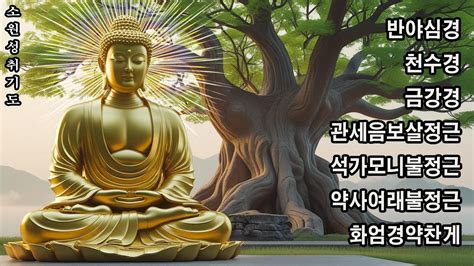 듣고난후 반드시 큰 돈이 나에게 저절로 찾아온다🌕로또당첨을 부르는 거대한 파동 막힌운이 술술 풀린다 하루 1번만 듣는 건강