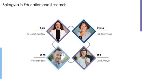 Spirogyra Protozoa Ppt Mockup Acp Ppt Presentation
