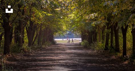 나무가 늘어선 길을 걷고 있는 두 사람 사진 Unsplash의 무료 길 이미지