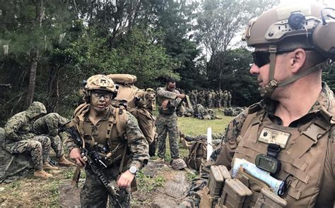 Marines Practice Island Fighting Skills During Jungle Warfare Training
