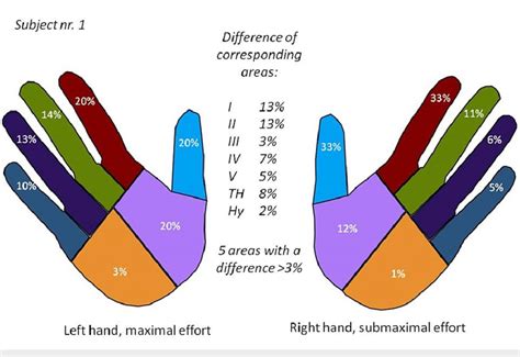 Load Distribution Resulting From A Trial Of Exhibiting Maximal Effort Download Scientific