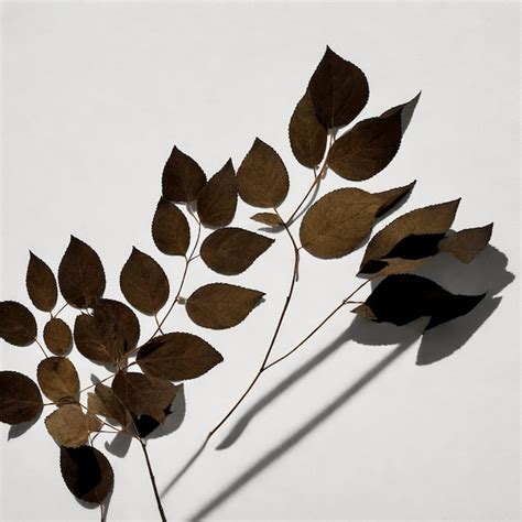 Premium Ai Image Dark Leaf Background