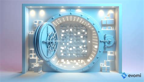 Proxy Basics Evomi Blog