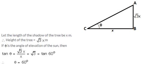 Selina Concise Mathematics Class ICSE Solutions Heights And Distances A Plus Topper