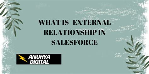 What Is External Relationships In Salesforce Learn Salesforce With Anuhya Digital