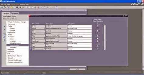 Oracle Applications Viewer Options Lov Setup For Taking Text Format