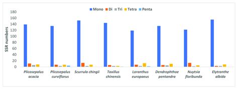 Number Of Different Simple Sequence Repeat SSR Types In The Plastid Download Scientific