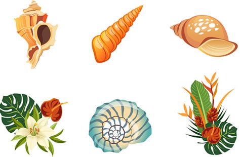 바다 조개 야자수 잎과 꽃 세트 아름다운 열대 풍경 디자인 요소 벡터 일러스트 개체 그룹에 대한 스톡 벡터 아트 및 기타 이미지