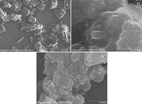 Enhanced Dissolution Bioavailability Of Cur Ncs Ijn