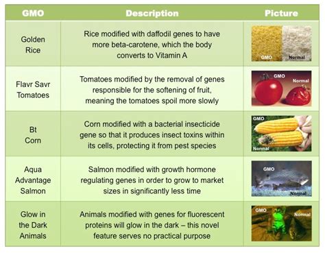 Gmos Applications