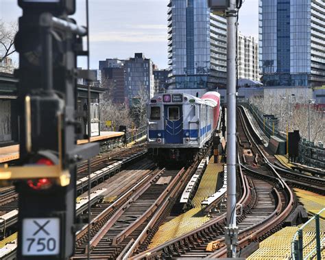 Are Pets Allowed On Mta Trains At Paula Silber Blog