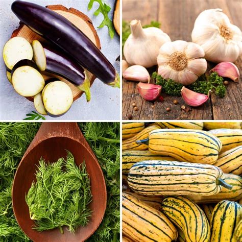 20 Interesting Vegetables That Start With D Full List