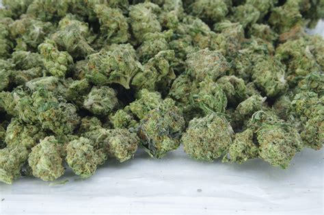 Buy Triangle Mints Smalls Oz Special Canada Bliss Herbals