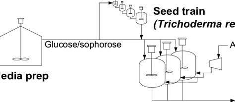 Simplified Flow Diagram Of The Enzyme Production Process Download Scientific Diagram