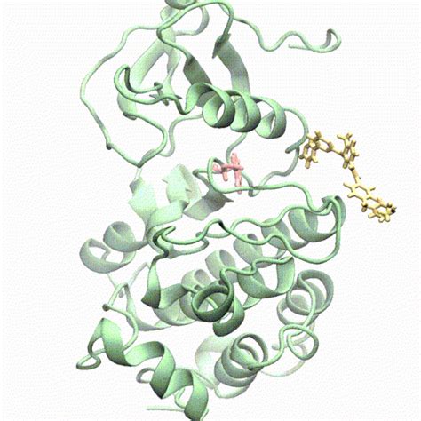 Publicationszheng Lab