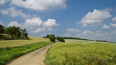 Free Photo Pathway In Between Of Green Grass Field Clouds