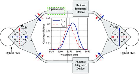 Schematic Illustration Of A Polarization Diversity Circuit With 2d Download Scientific Diagram