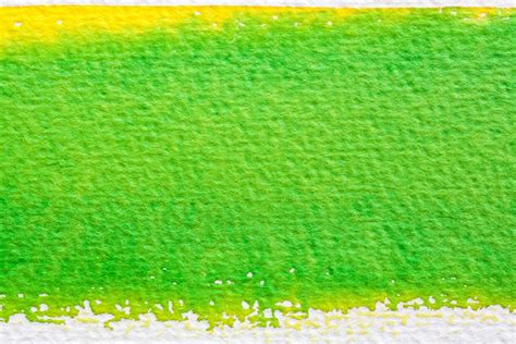 무료 이미지 식물 들 봄 녹색 색깔 고요한 노랑 농업 쾌활한 배경 관목 그물 영상 생태계 축적 바닥 인조 잔디 수채화 수제 종이 잔디