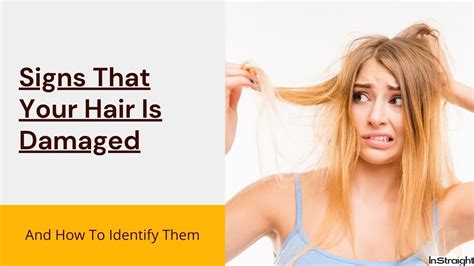 Signs Hair Is Damaged At Isabel Yazzie Blog