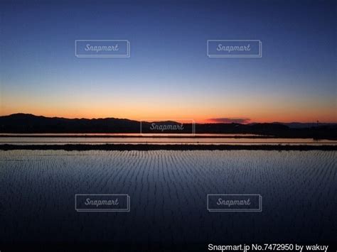水を張った田んぼに映る夕暮れの景色の写真・画像素材 Snapmart（スナップマート）