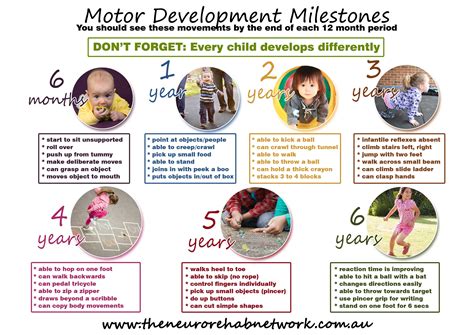 31 What Is A Developmental Delay Information Build A Harmonious
