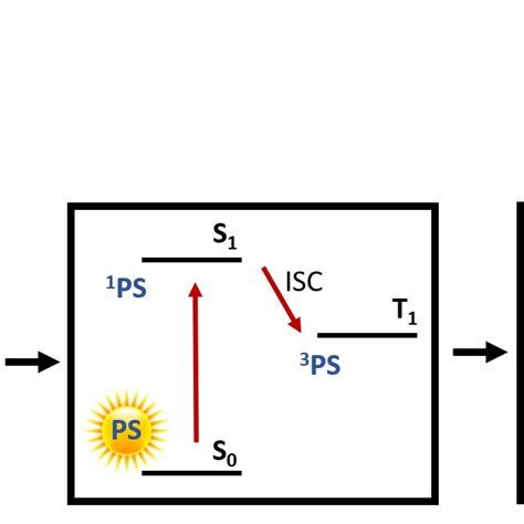 The Input Transformation Output Model Source Url Download