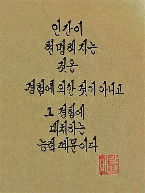 인간이 현명해 지는 것은 2024 삶의 교훈 인용구 멋진 문구 영감을 주는 인용구