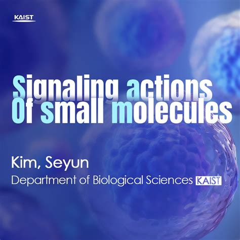 Signaling Actions Of Small Molecules Datafloq