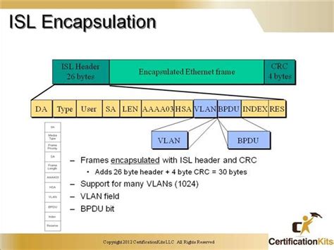 Cisco Ccnp Switch Trunking