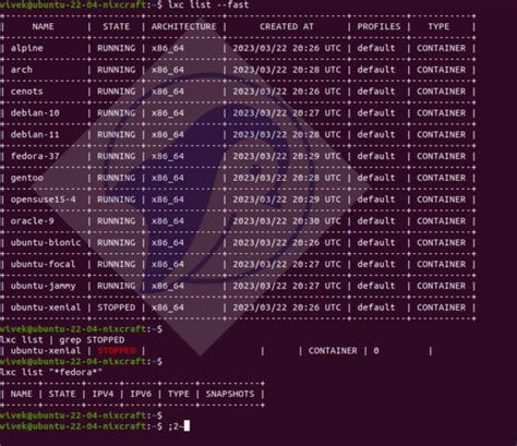 How To Install LXD On Ubuntu LTS Using Apt Snap NixCraft