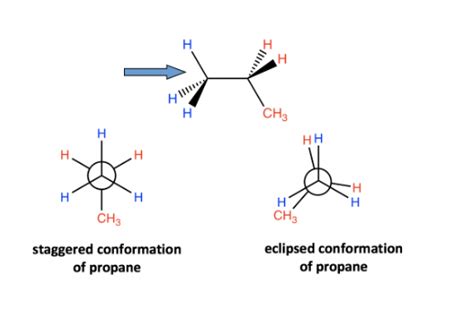 How To Draw Newman Projections