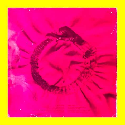 The Alan Parsons Project Vulture Culture Berk Plak