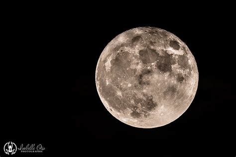 Isabelle Otis Flickr