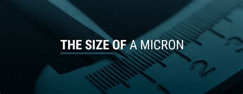 Micron Size Chart What Is The Size Of A Micron