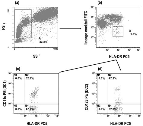 Identification Of Circulating Dendritic Cells Dcs And Of Dc Subsets