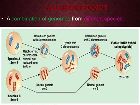 Polyploidy Mutation And Hybridization With Reference To Medicinal Plants Pptx