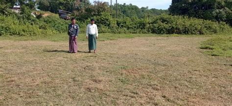 ဟိုင်းကြီးကျွန်းမြို့၌ ပိုက်ဆံလျှော်စိုက်ပျိုးထားရှိမှုအခြေအနေများအား တာဝန်ရှိသူများ ကွင်းဆင်းက